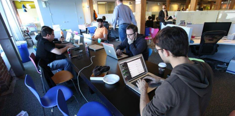 Creating a natural workplace | NZBusiness Magazine